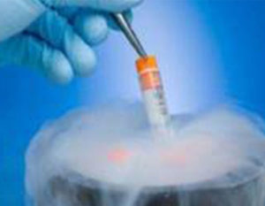 The Effects of Adjuvant Therapies on Embryo Transfer Success - Dr Tim ...